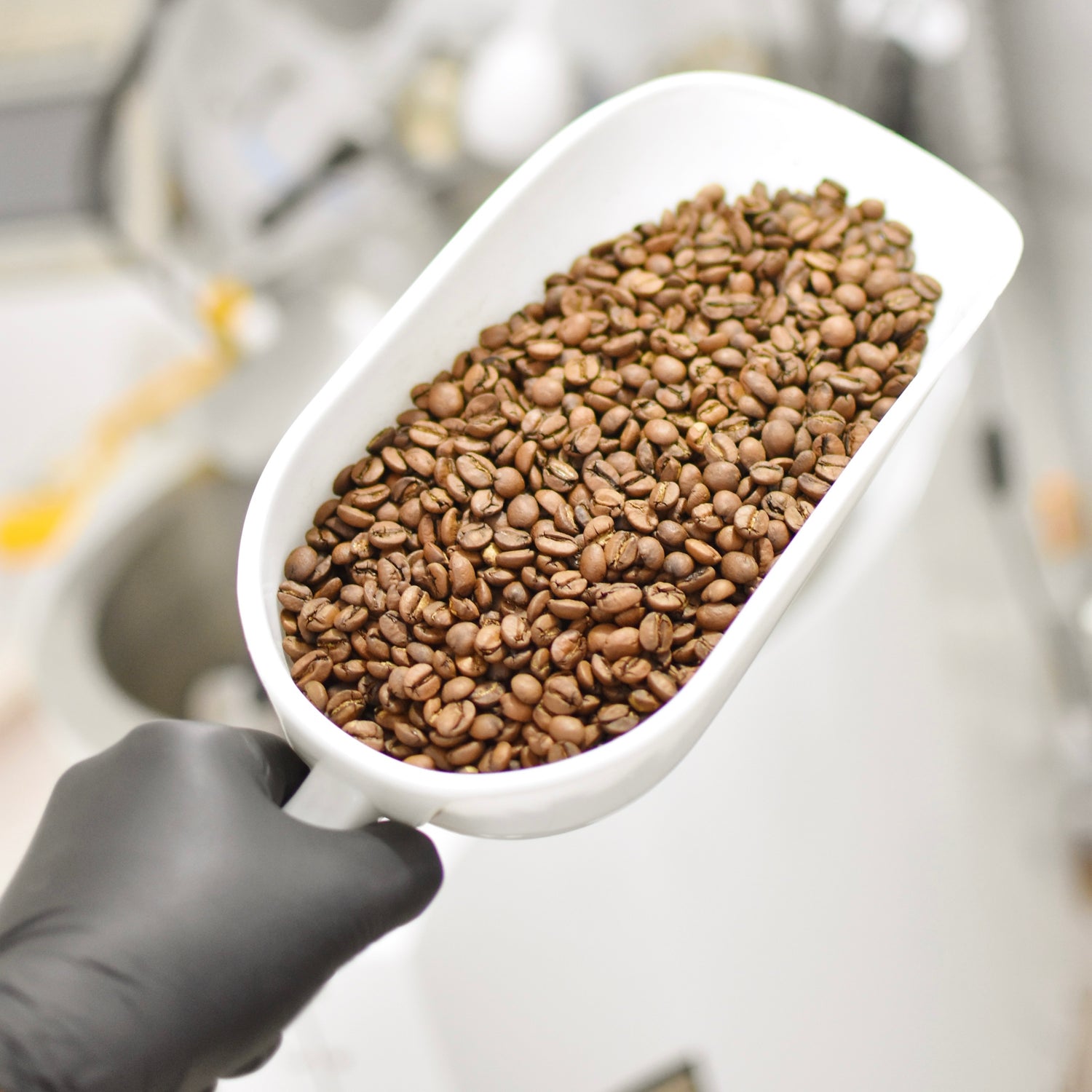 Earth Coffee Online Store